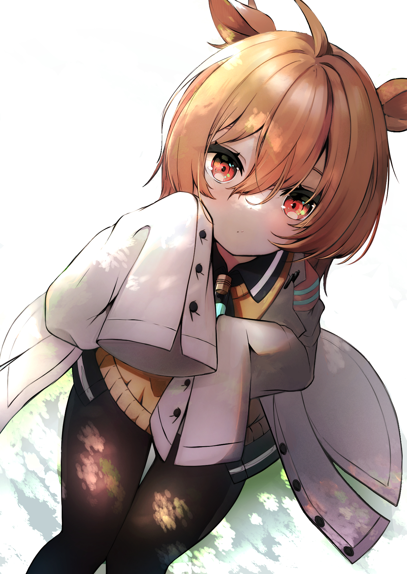 uma musume pretty derby agnes tachyon (umamusume) animal ears pantyhose sweater tagme tail ...